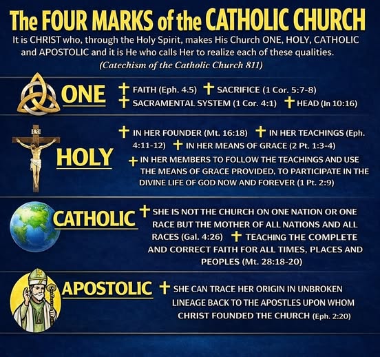 The Four Marks of the Catholic Church – Nelson MCBS