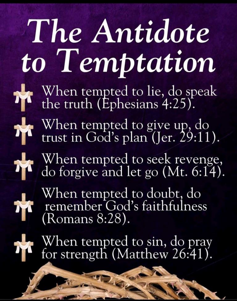 The Antidote to Temptation – Nelson MCBS